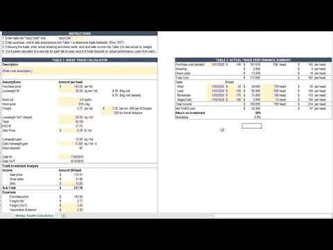 Sheep Trading Calculator & Performance Summary - YouTube