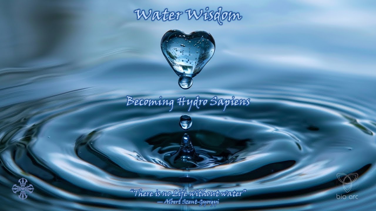 Water Wisdom — Becoming Hydro Sapiens - YouTube