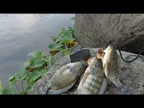 FISHING ADVENTURE @CALUMPANG LILIW LAGUNA - YouTube