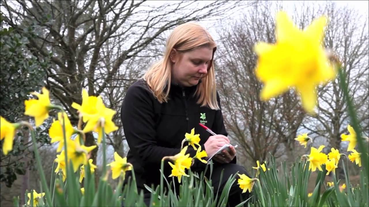 National Trust flower count - YouTube