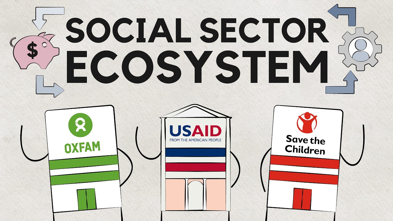 Non-Profit Sector Overview - Social Sector Ecosystem - YouTube