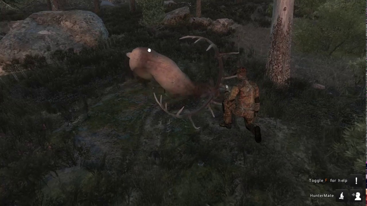 theHunter - Timbergold Trails Wolf/Elk Hunt Pt.1 - YouTube