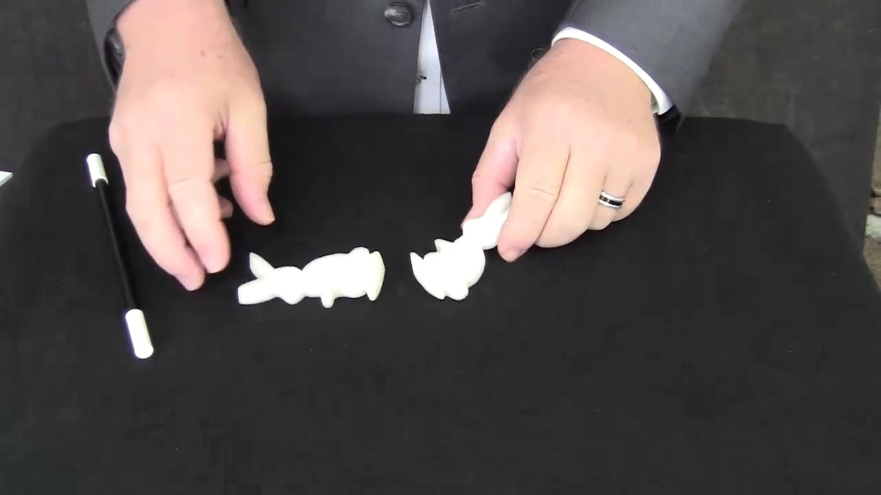 Daseng Magic Appearing Sponge Rabbit - YouTube