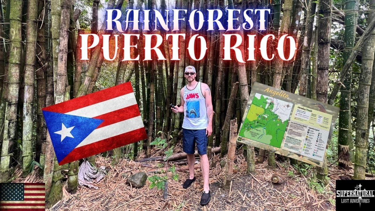 Exploring El Yunque Rainforest!! Puerto Rico!! - YouTube