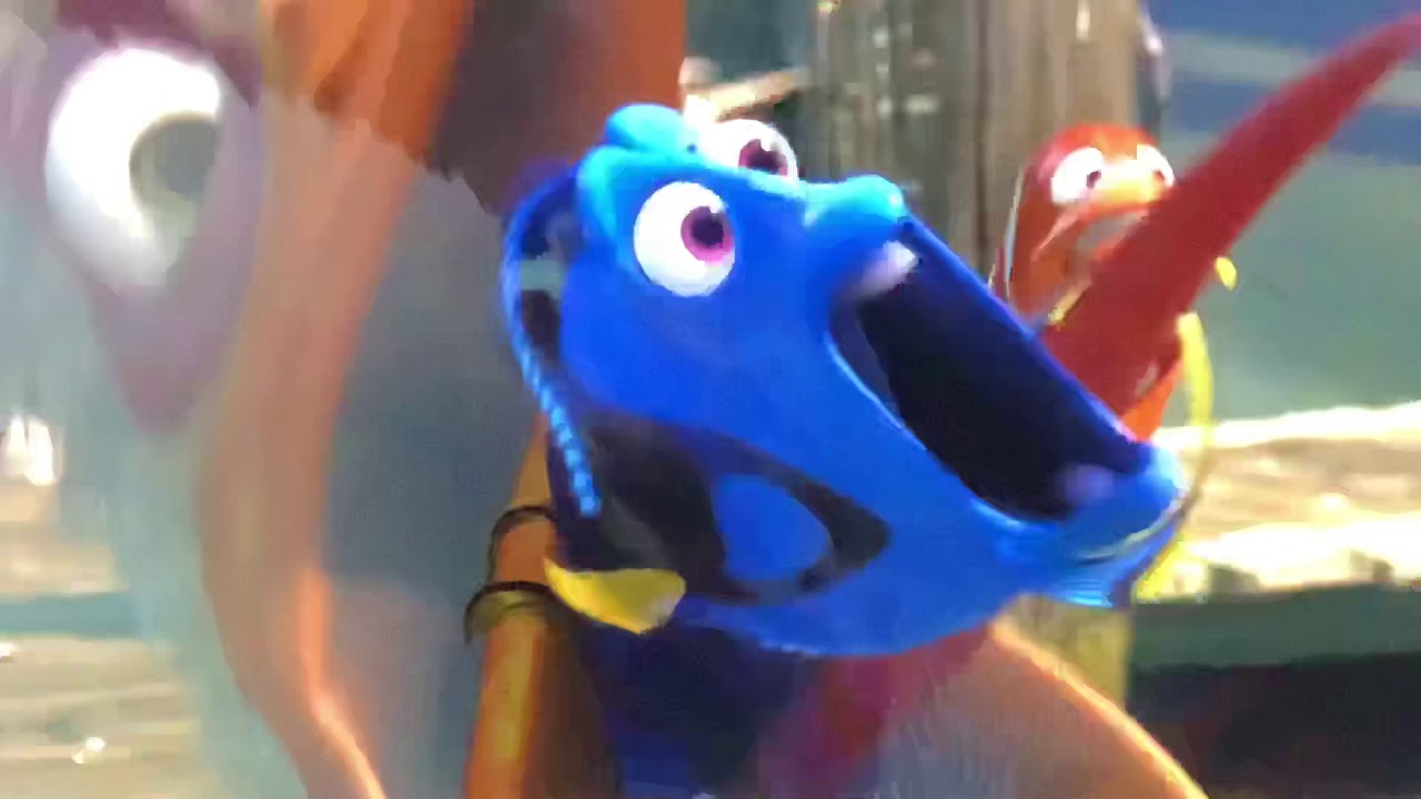 Finding nemo p Sherman 42 wallaby way Sydney - YouTube