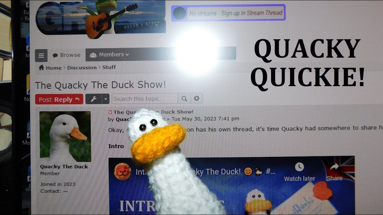 Quacky Quickie: Quacky Uses The Internet! #QUACKYTHEDUCK #GRCADE - YouTube