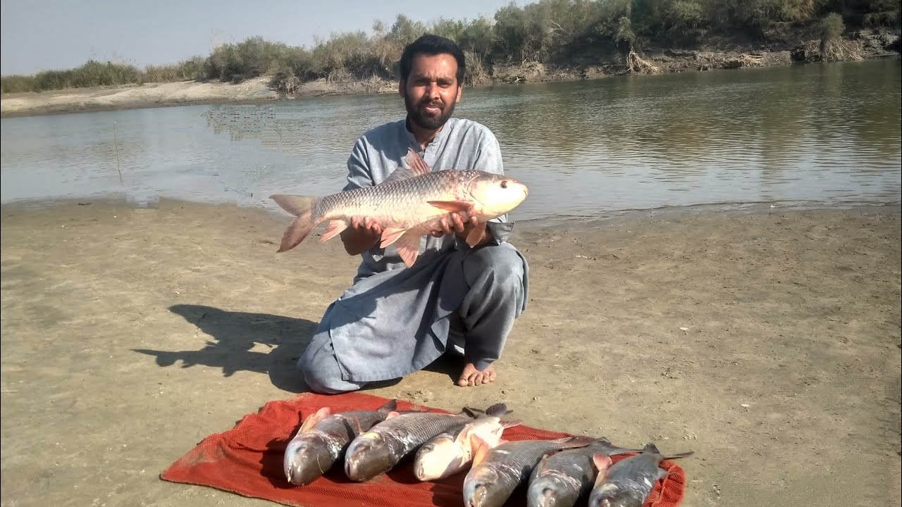 Big Rohu Fish catching from River Indus | Fishing in Pakistan - YouTube