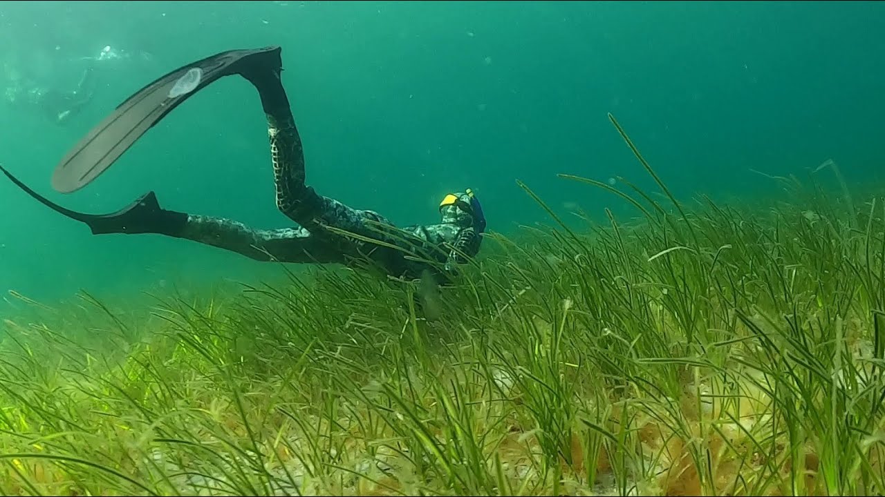Amazing Young FREEDIVING Kids - Trip 3 | Snorkelling and Freediving in ...