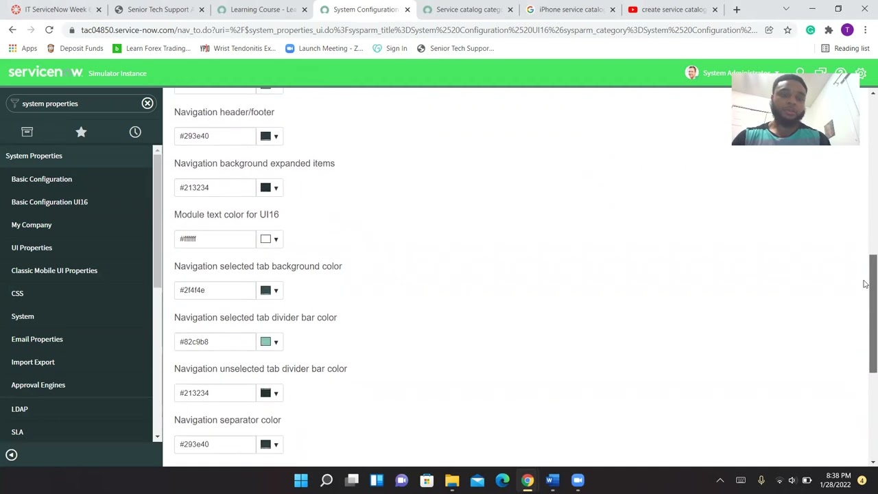 ServiceNow - Branding Demonstration - YouTube