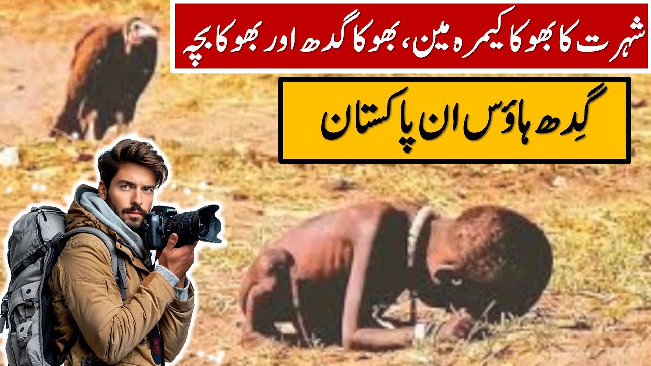 HUNGRY VULTURE IS WAITING FOR THE DEATH OF HUNGRY BABY IN SUDAN ...