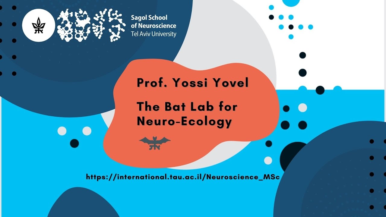 Prof. Yossi Yovel from the Bat Lab for Neuro-Ecology - YouTube