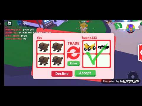4 Platypus Trade Offers Roblox/Adopt Me - YouTube