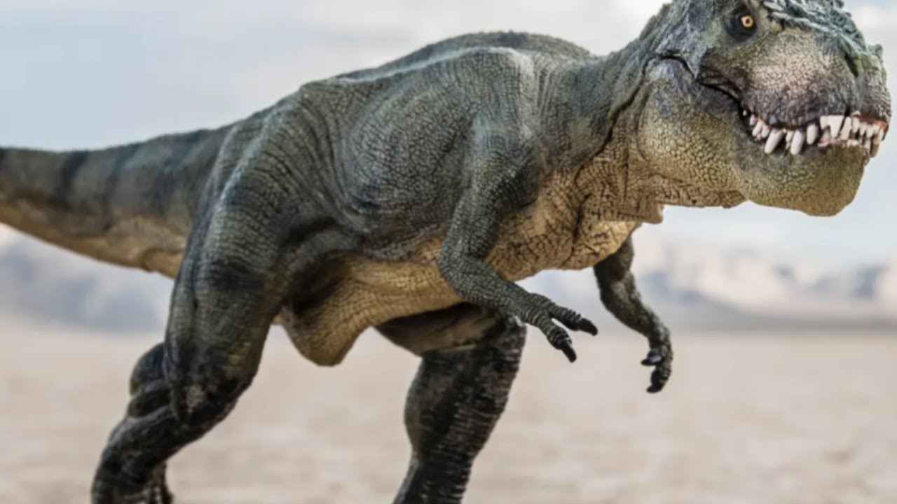 Interesting facts about Dinosaurs - YouTube