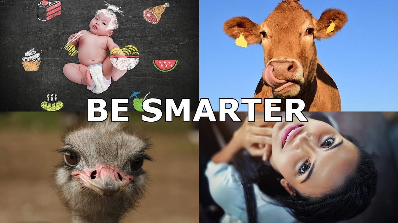 50 Amazing Facts To Make You Smarter 50 Facts 50-amazing-facts-to-make-you-smarter-50-facts