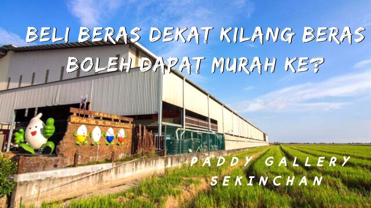 Tempat Menarik Di Selangor / Paddy Gallery Sekinchan - YouTube