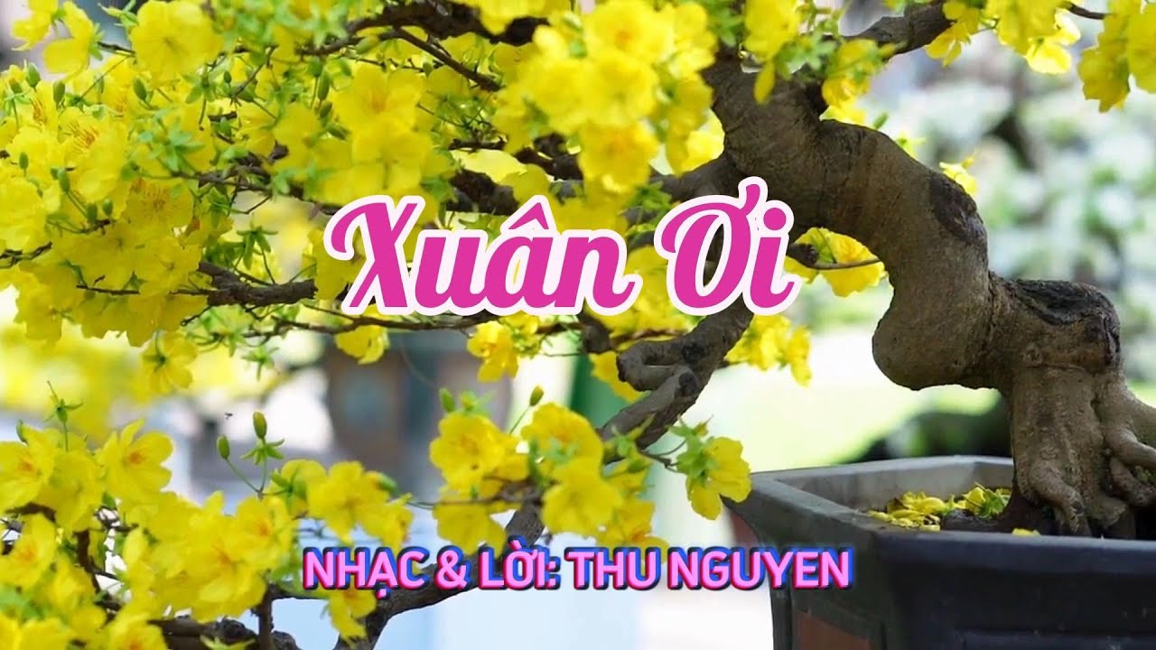 XUÂN ƠI - Karaoke - NHẠC XUÂN TIN LÀNH - YouTube