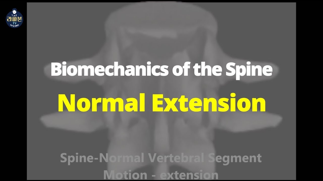 Normal Extension 척추 움직임 spine movement - YouTube