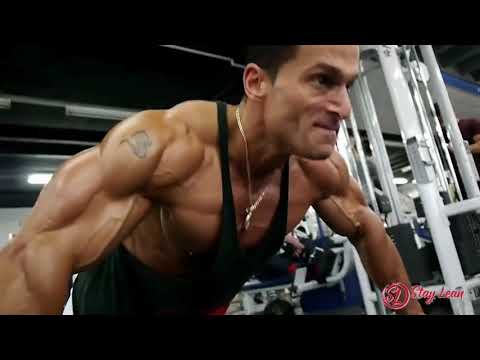 Silvio Simac training montage