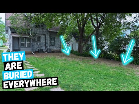 Strange Sink Spots in the Yard Open Up into a Cache Buried in the ...