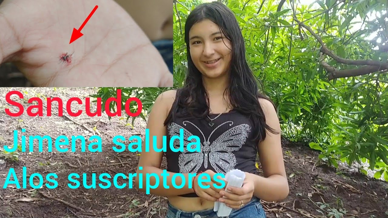 Nos asustaron bieran con ganas de corer estabamos 😳 - YouTube