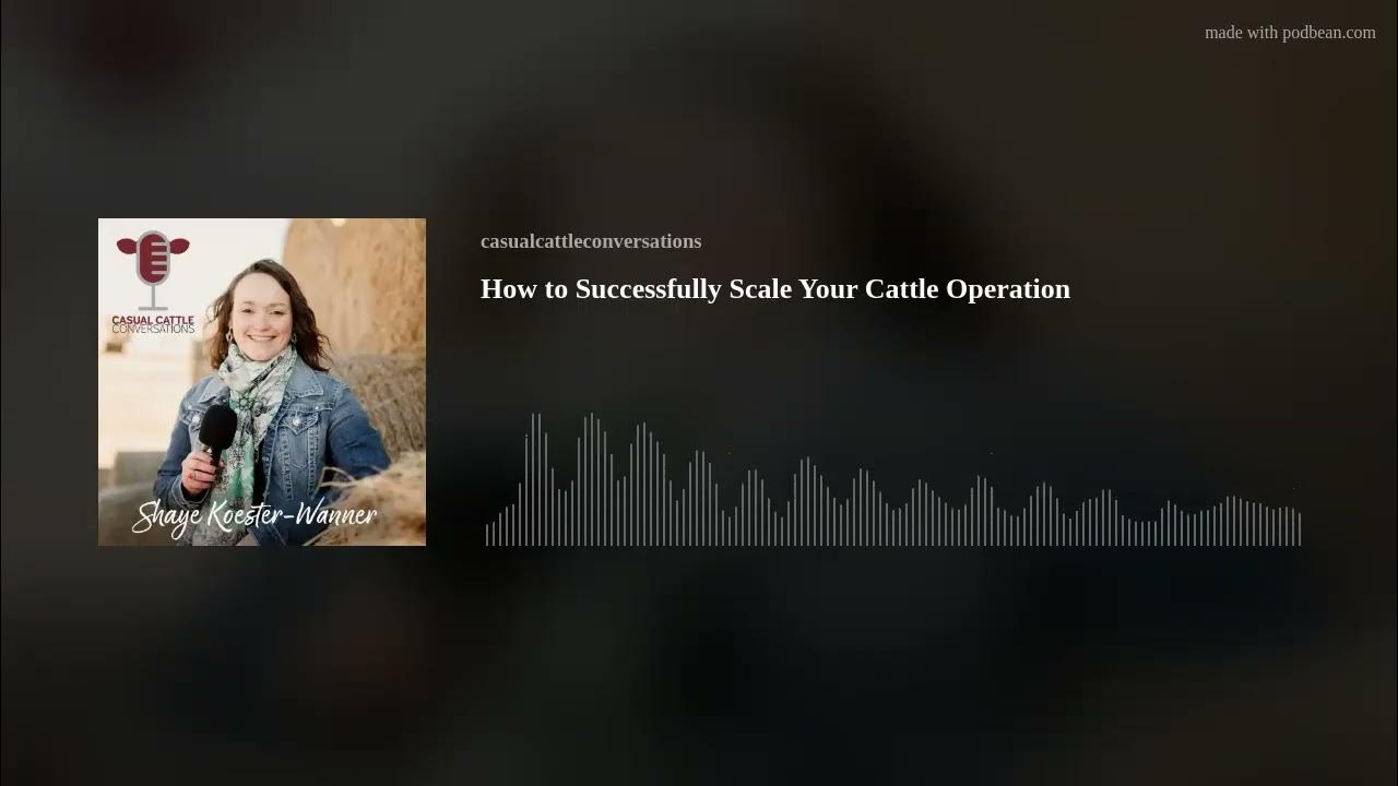 How to Successfully Scale Your Cattle Operation - YouTube