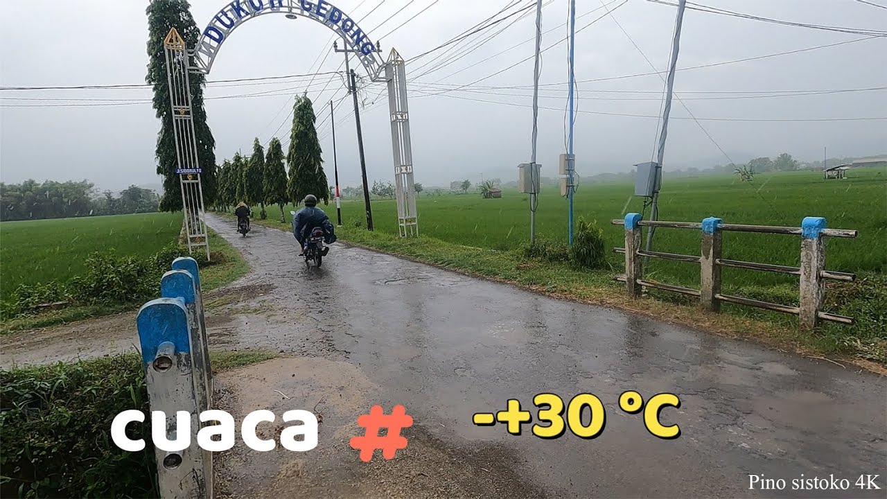 Light rain fell on the beautiful and cool village rice fields in East ...