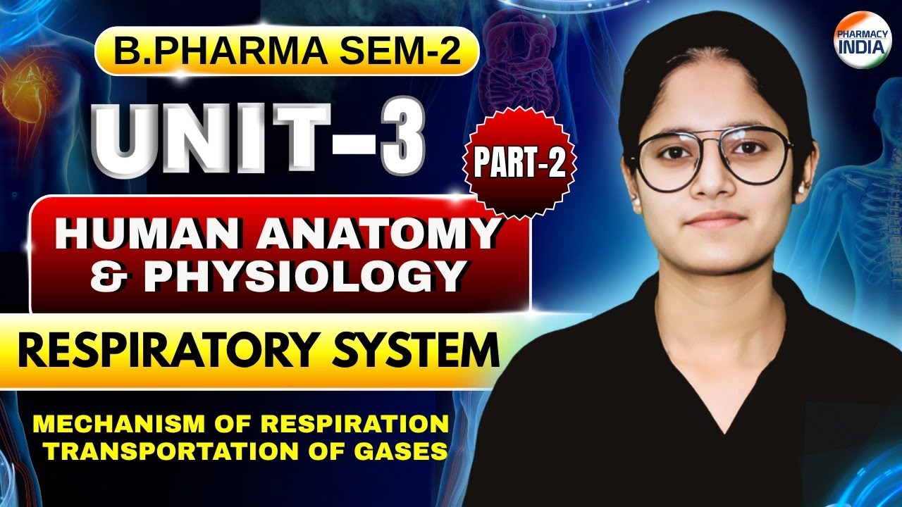 Mechanism Of Respiration I Transport Of Gases I I HAP I P - 2 I U-2 I B ...