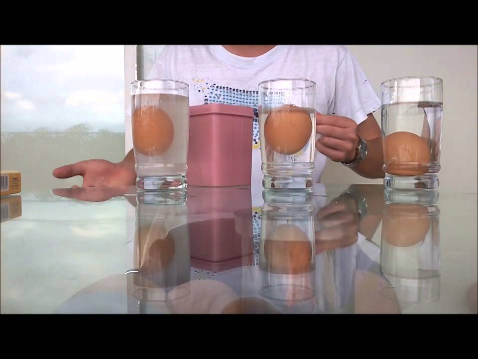 ¿Por que el huevo flota? - Caycedo - YouTube