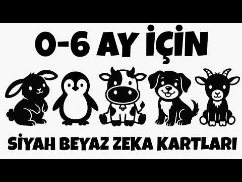 0-6 Ay Bebek Zeka Kartları | Siyah Beyaz Yüksek Kontrast | Beyin ve Görme Gelişimi