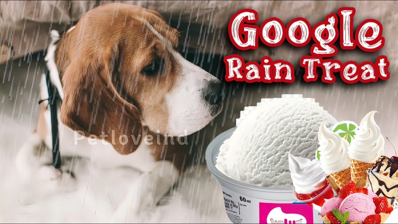 Delicious Delight: Watch This Cute Dog [ Beagle ] Enjoy a Tasty Ice ...