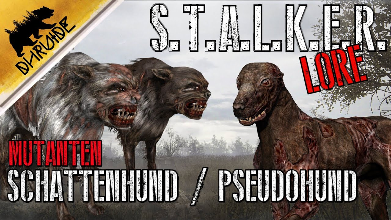 S.T.A.L.K.E.R. - Lore - Schattenhund & Pseudohund - YouTube