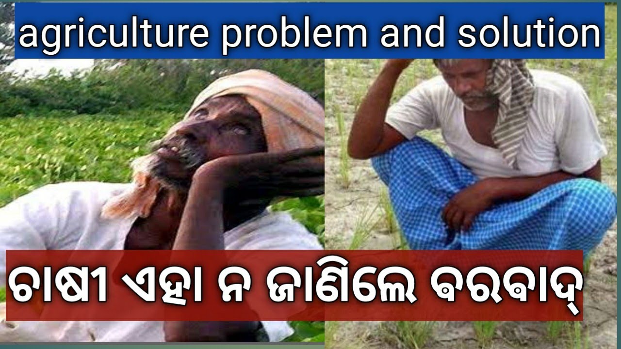 Agriculture Problem And Solution YouTube agriculture-problem-and-solution-youtube
