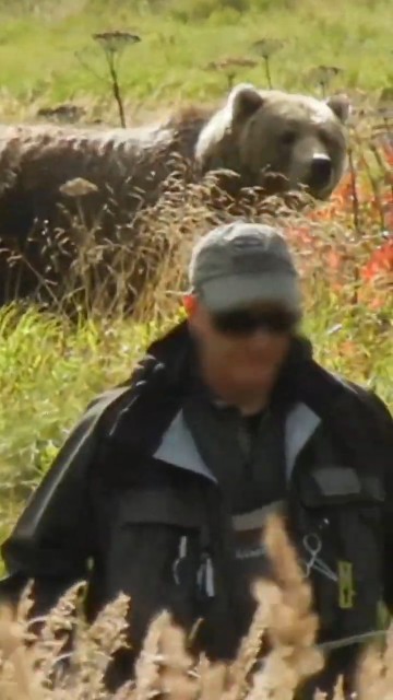 Bear Body Language and Personality - YouTube