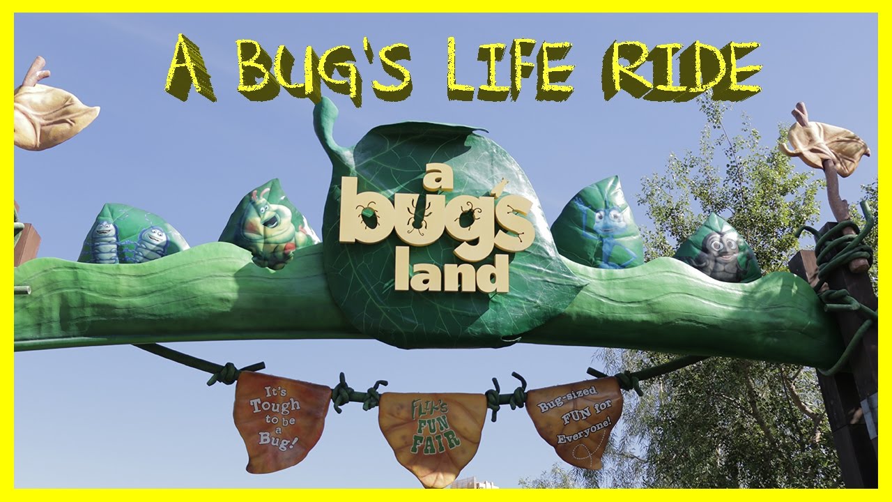 Aria riding a Bugs Life ride at Disneyland California Adventure! - YouTube
