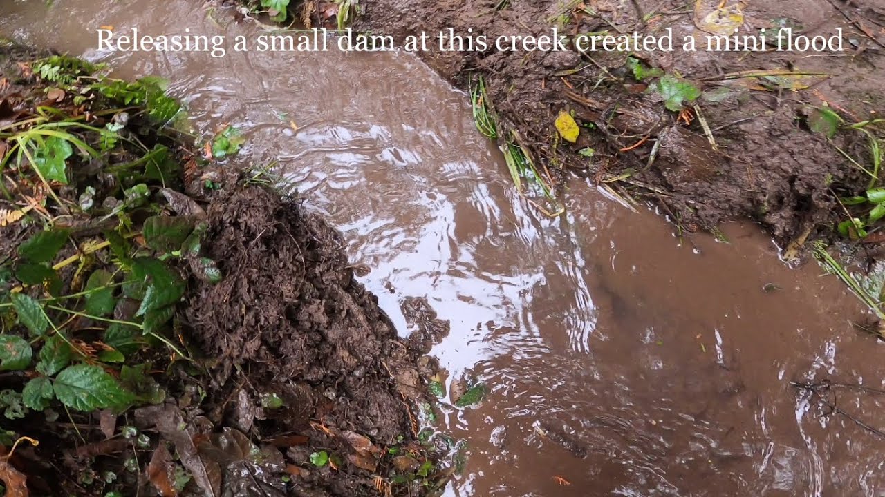 Creating mini flash flood in abandoned creek - YouTube