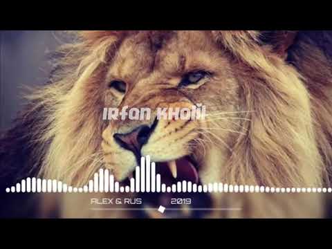 Alex & Rus | Famous Tiktok Lion Roar Song / Wild Lion Music Audio