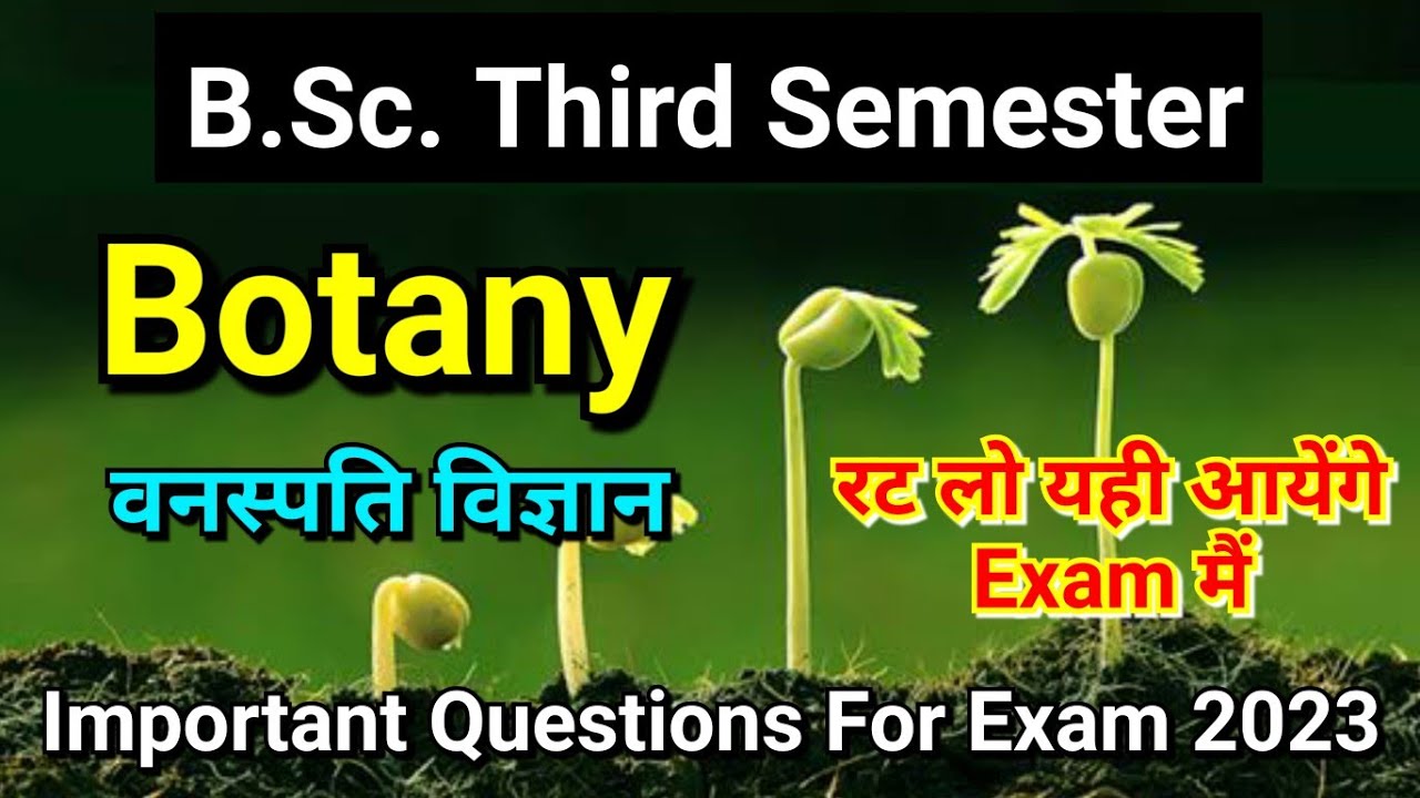 Botany B.Sc. Third Semester | Important Questions For Exam | University ...
