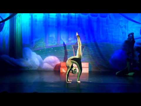 Contortionist in Medusa -  WOW Entertainers
