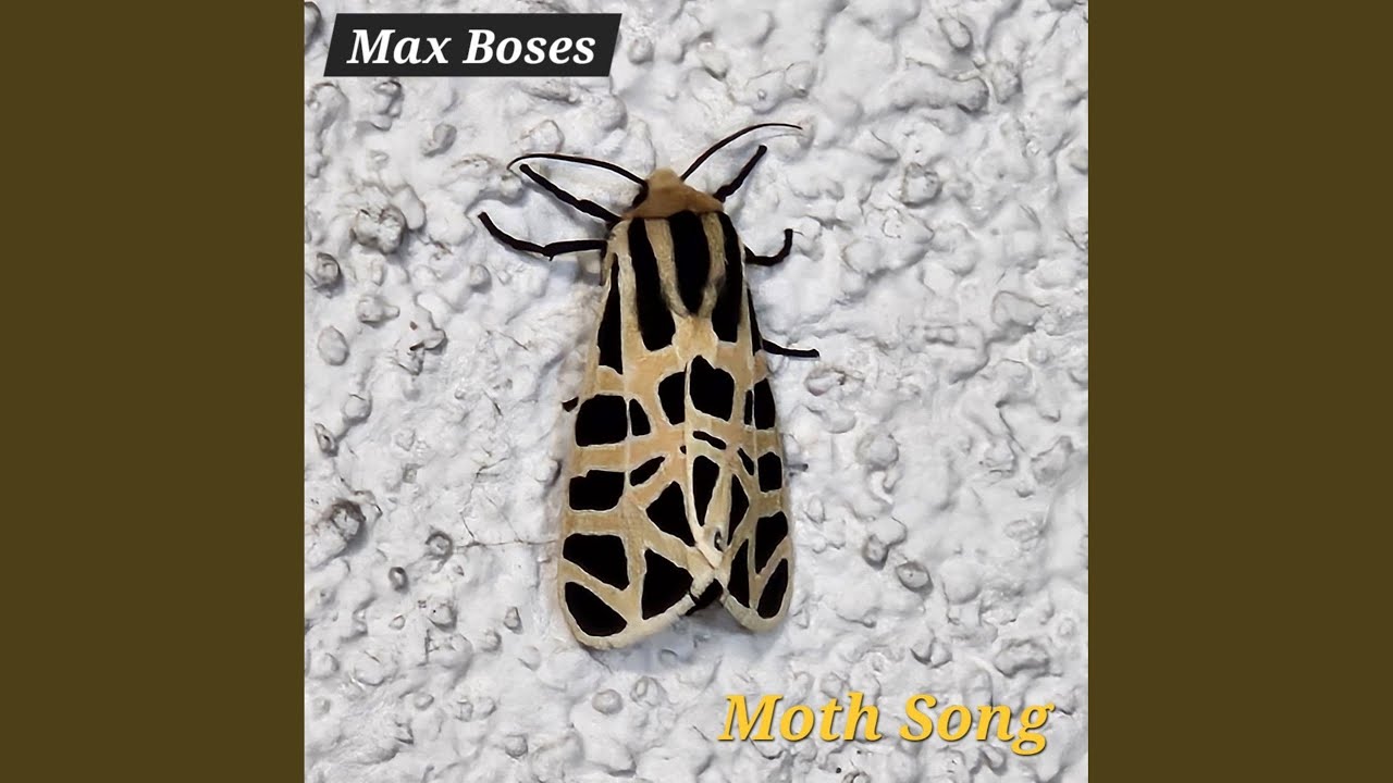 Moth Song (Demo) - YouTube