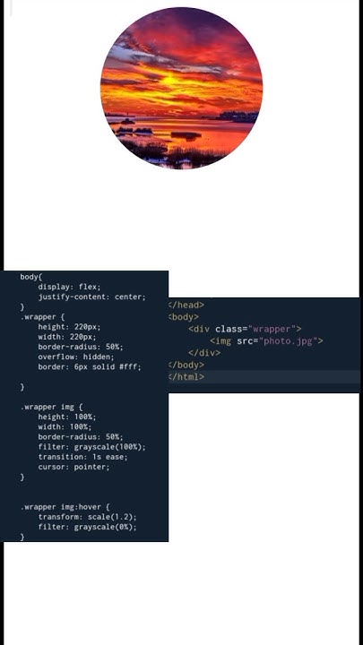 beautiful hover effect on image #webdesign #programming #coding #html #css #shortsfeed #shorts# ...