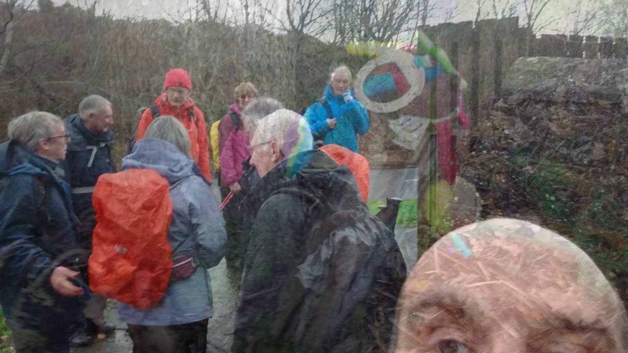 Cunninghame Ramblers: Craigends Yew, Bridge of Weir 141216 - YouTube