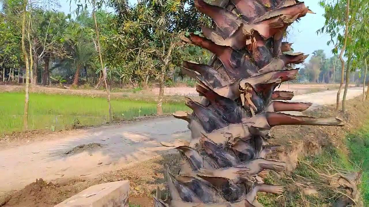 Bhoot FM 2025 | মর্গের অ্যাম্বুলেন্স ঘটনা | Bhoot Fm Email Episode ...