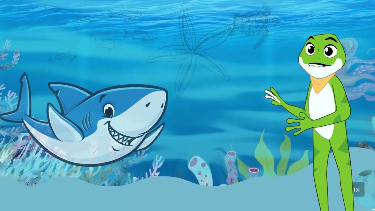 Meet the Animals | Great White Shark Octopus and Turtle | Wild Animals ...