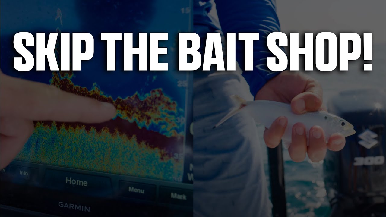 The EASIEST Way to Catch Bait For Summer Beach Fishing - YouTube