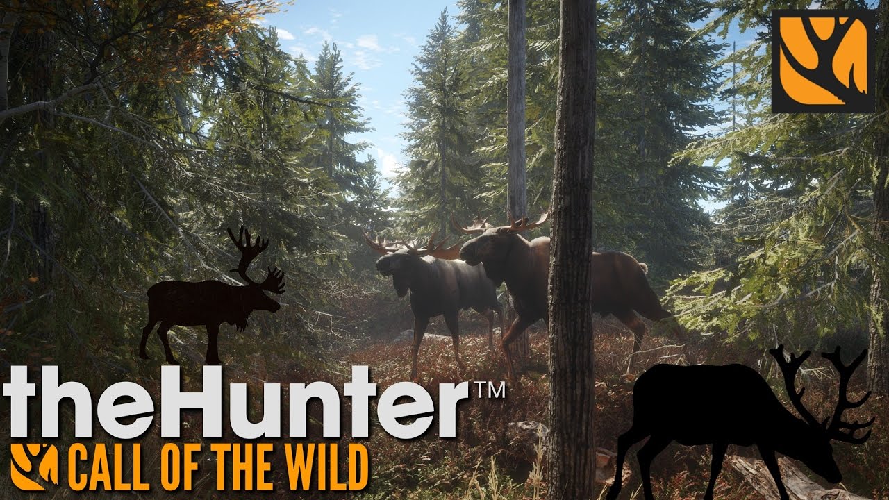 [THE HUNTER] ELAN / WAPITI GROS BUG DU JEU :)) (AVEC PATOU) #8 - YouTube