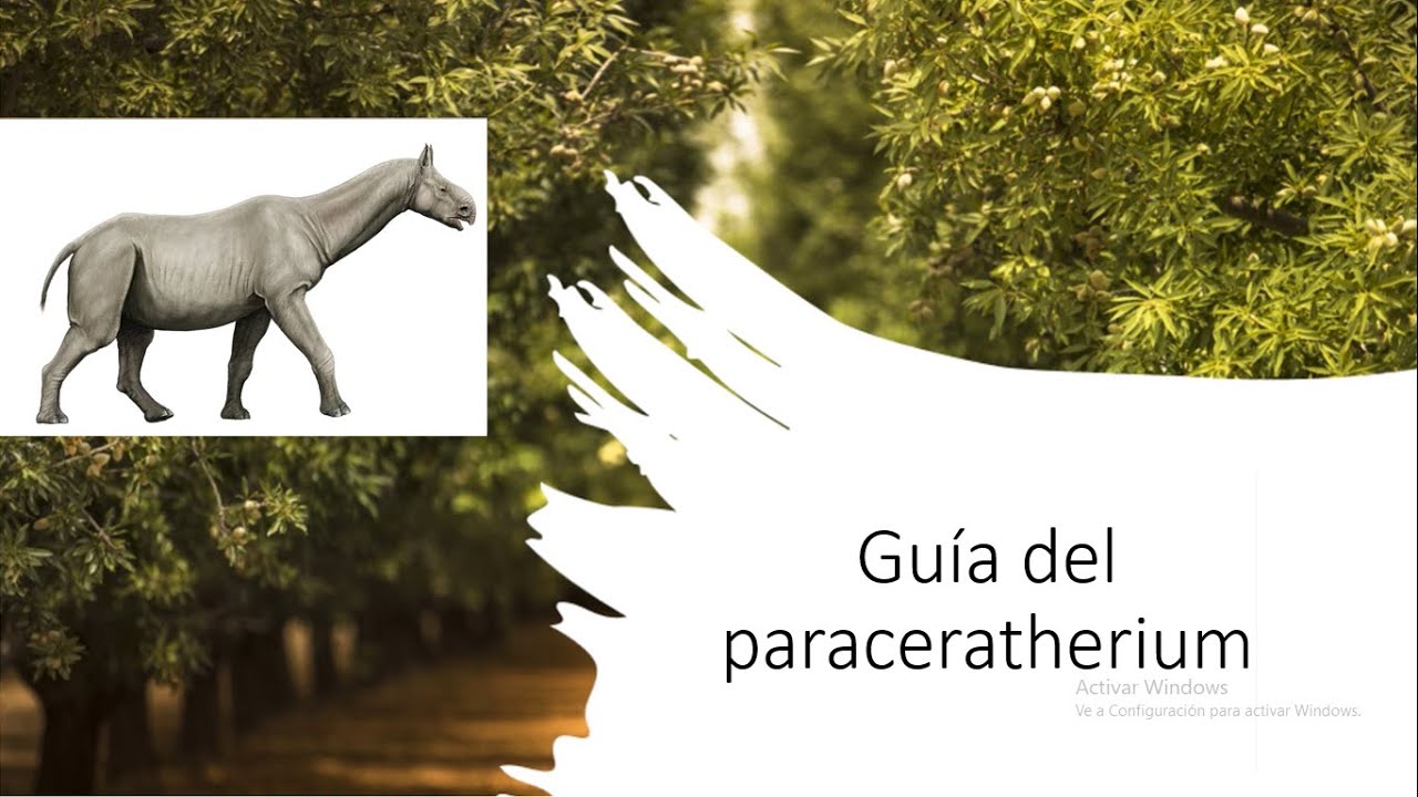 Guía del paraceratherium - YouTube