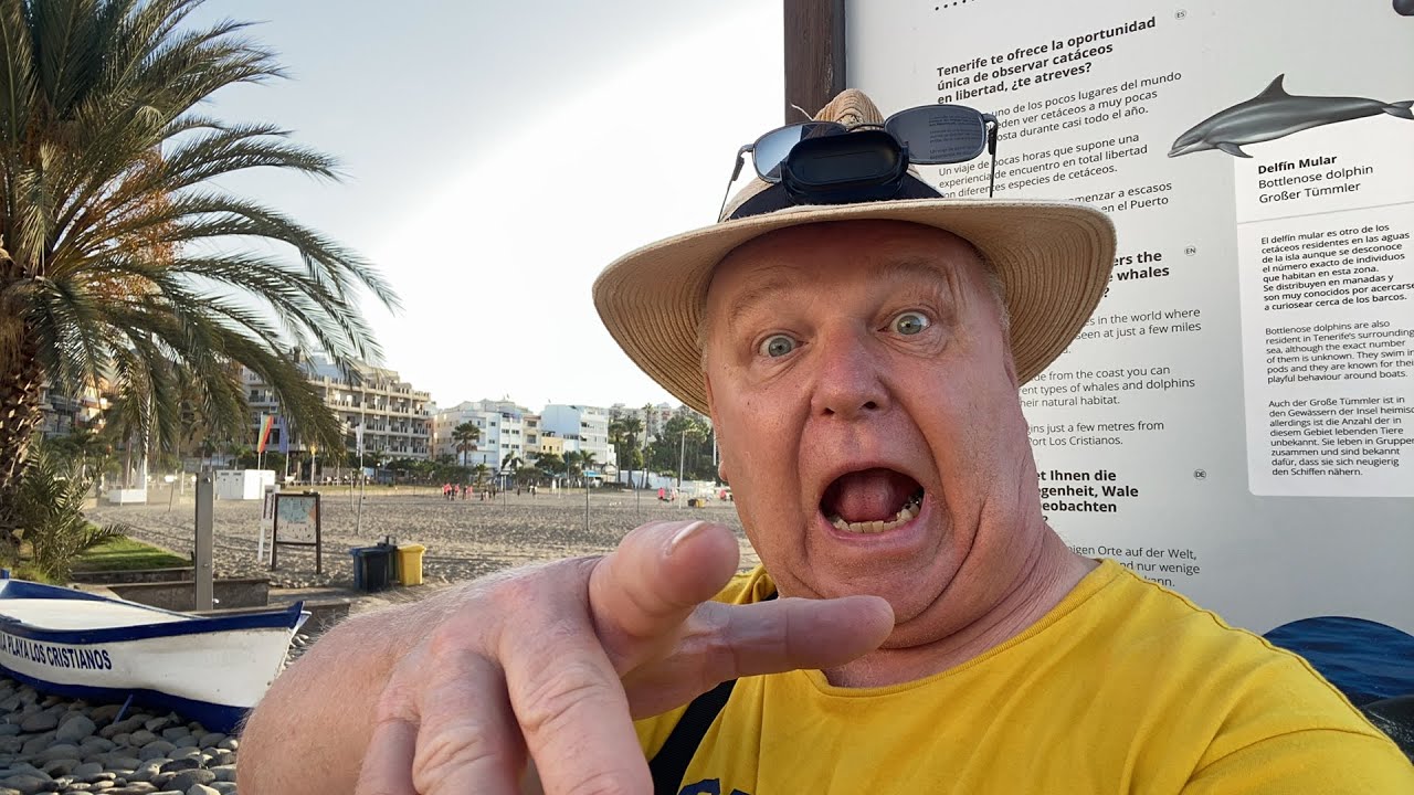 Orcas, Tez and Tim on the search for Webby and Kevin - YouTube