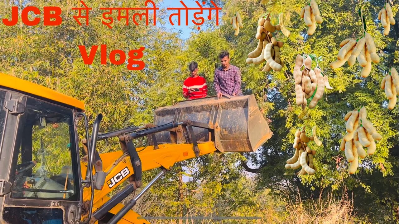 JCB से इमली तोड़ेंगे | Tamarind | thechaturth | Vlog 5 - YouTube