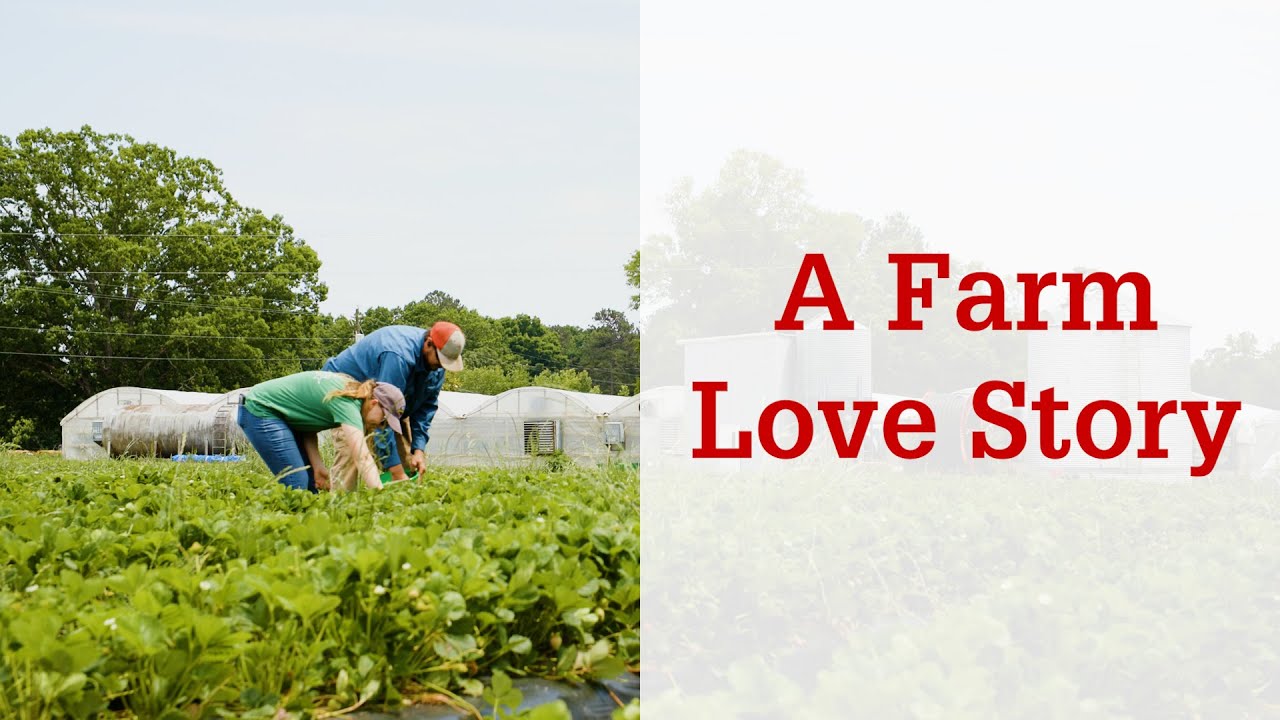 A Farm Love Story - YouTube