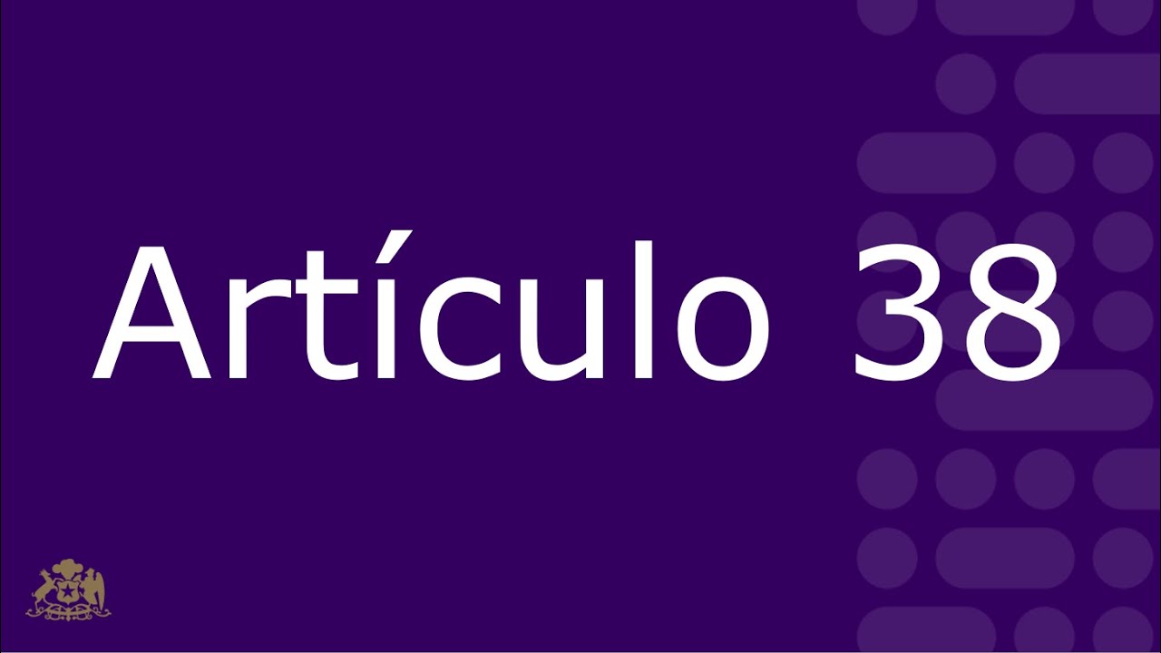 Articulo 38 - Propuesta Nueva Constitución de la Republica de Chile ...